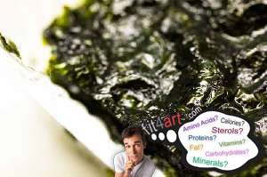 Dried seaweed agar: nutritional value and information